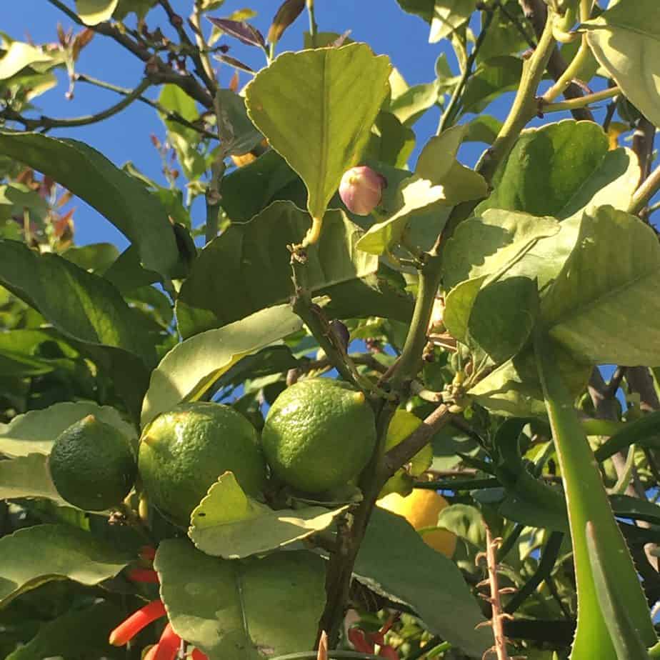 Our family trip to Northern Cyprus | Pure Punjabi